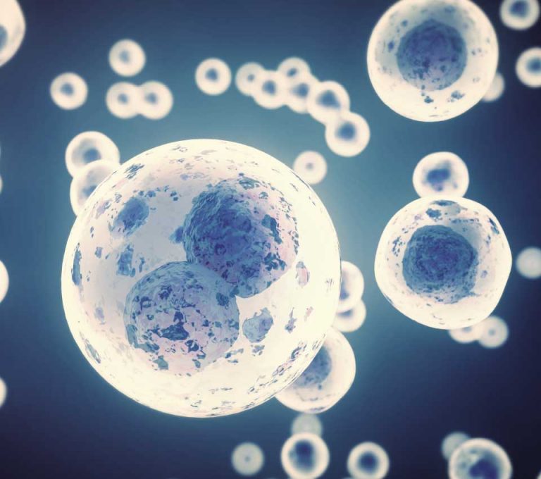 Evgenis TOTIPOTENT EMBRYONIC CELLS – EVGENIS – Therapeutic Laboratories ...